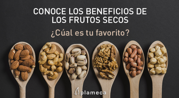 Les 10 avantages de manger des noix et des fruits secs | Plameca, S.A.