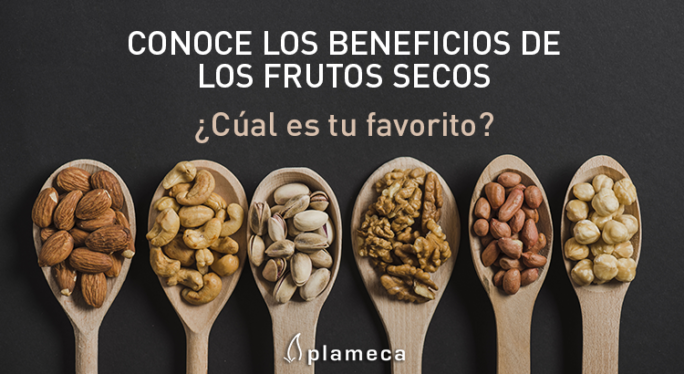 Los 10 beneficios de comer frutos secos | Plameca, S.A.