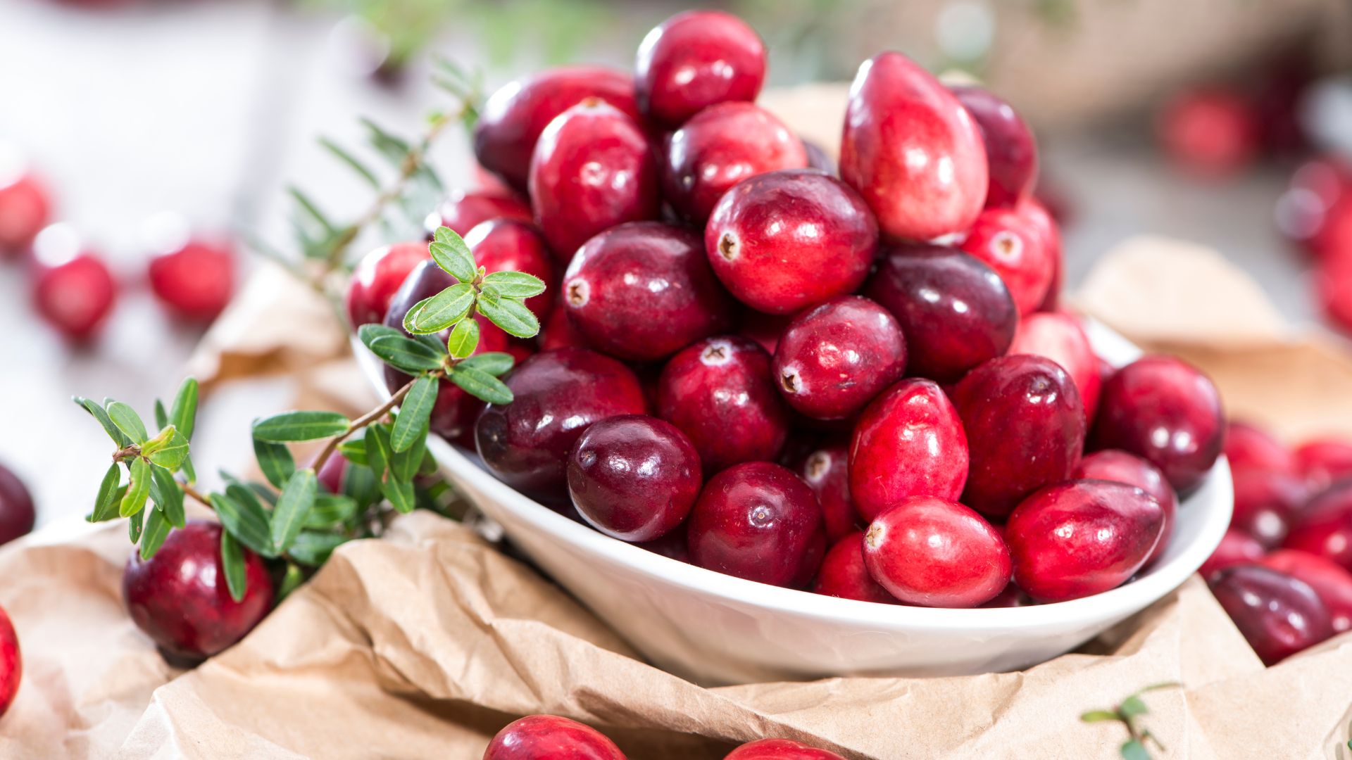 ¿Por qué todas toman arándano rojo americano (cranberry)? | Plameca, S.A.