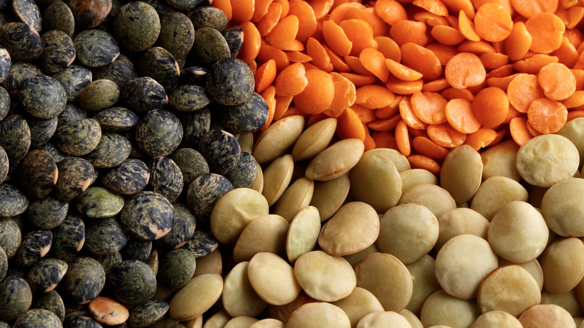 Crispy baked lentils recipe: rediscover this legume