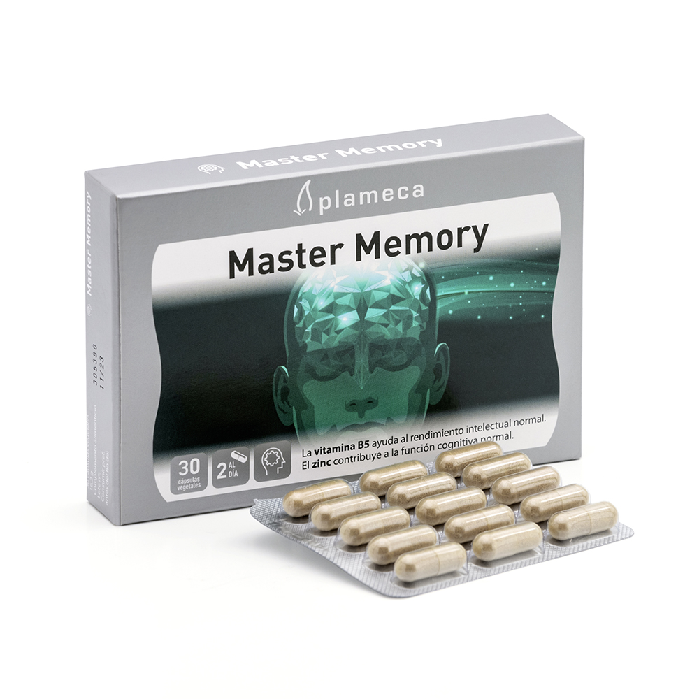 Master Memory