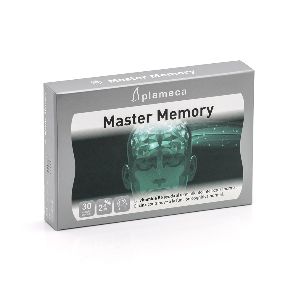 Master Memory Master Memory