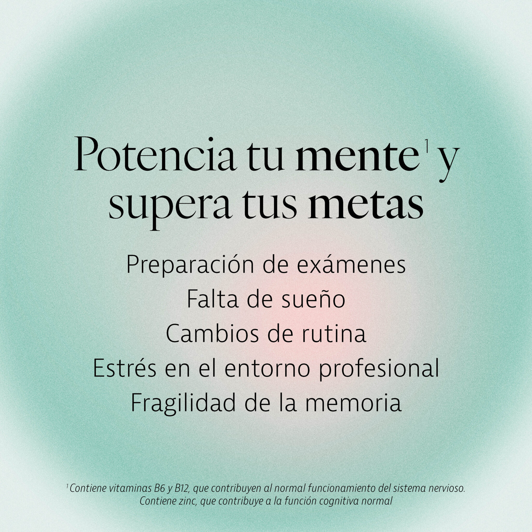 Master Memory