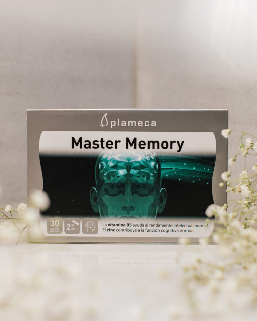 Master Memory