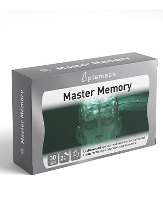 Master Memory - Plameca